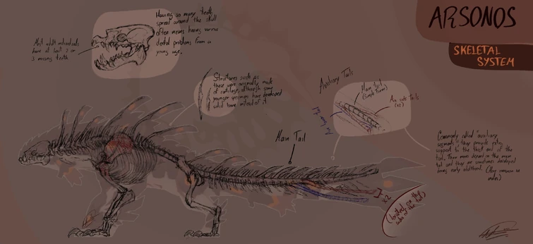 Anatomy study pt 6 - Arsonos | Fandom