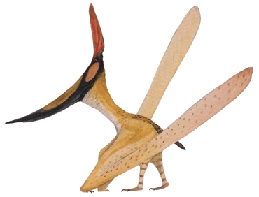 Discuss Everything About Dinopedia | Fandom