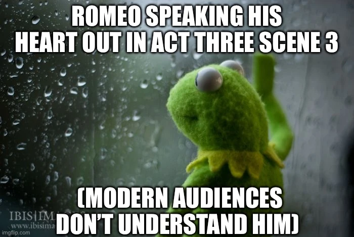 My teacher has me making Romeo and Juliet memes and uhhhh…. yeah. | Fandom