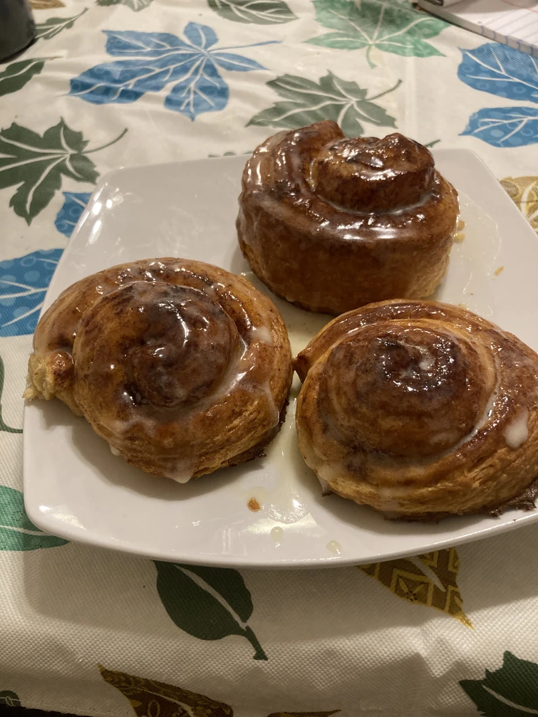 hey can you guys watch my cinnamon rolls while i go edit the dusekkar ...