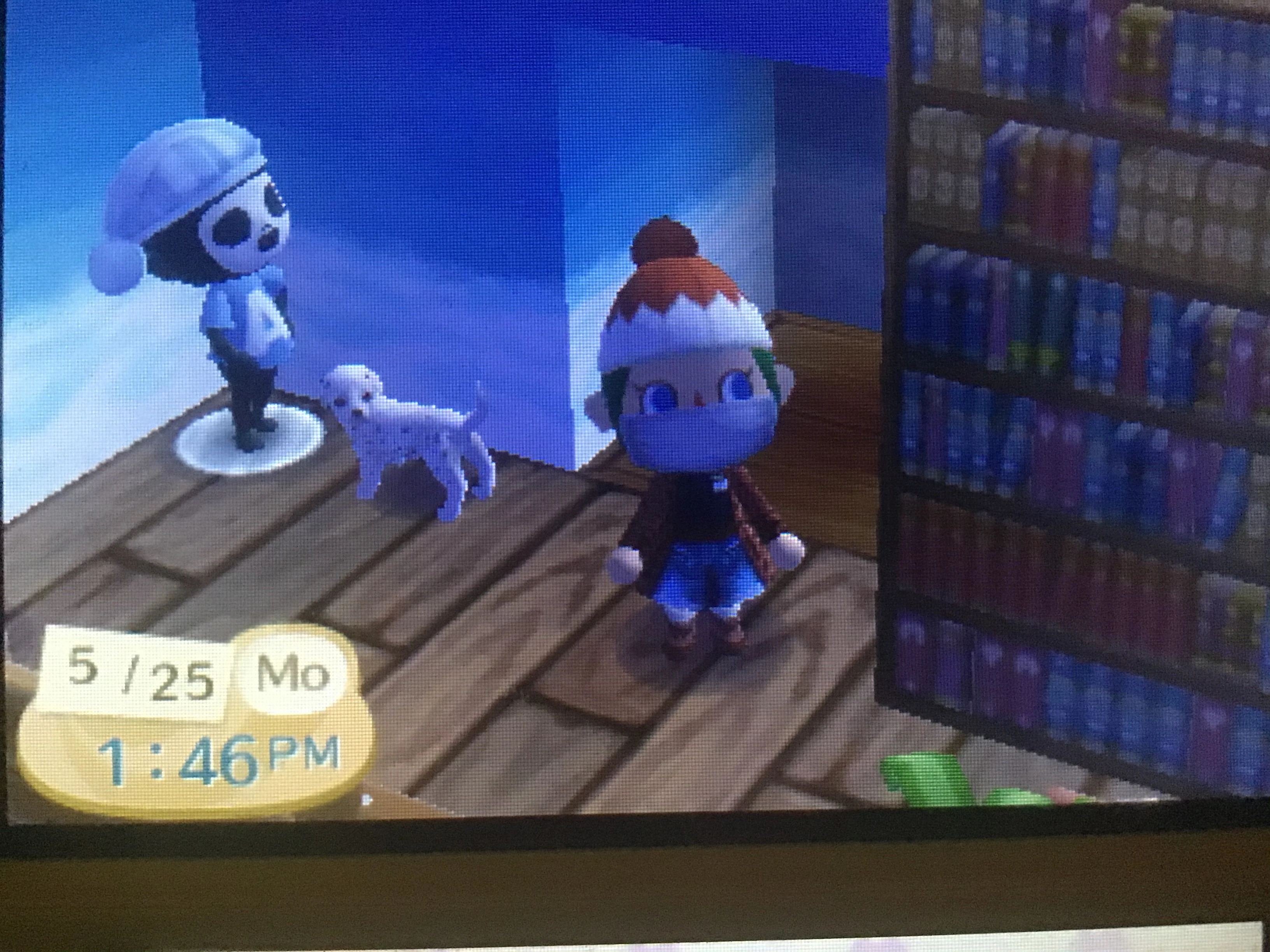 My ACNL character! ? | Fandom