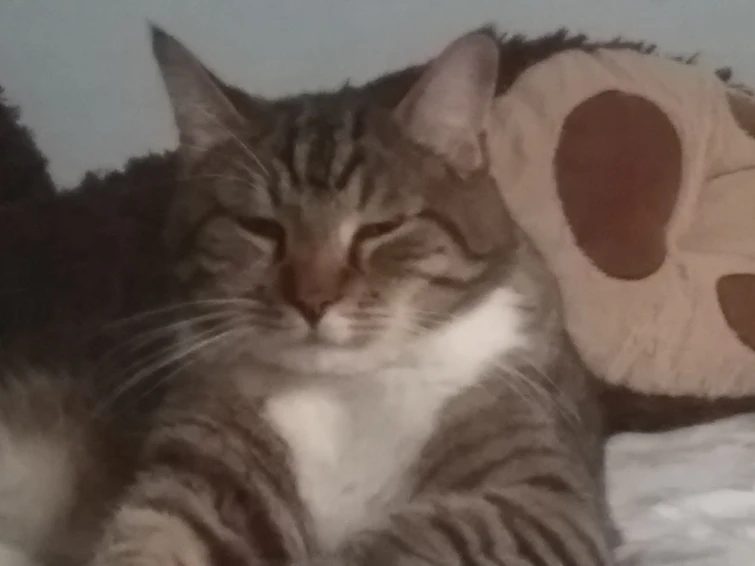 hehe….. 😆😁😃😀😐😕🙁☹️😔😞😢😭 | Fandom