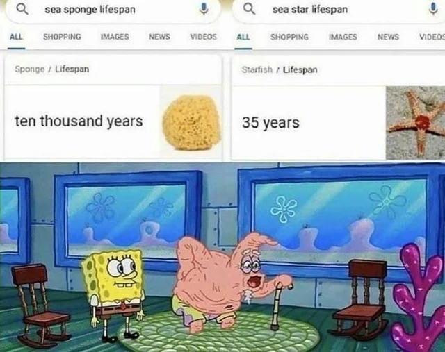 Poor spongebob | Fandom