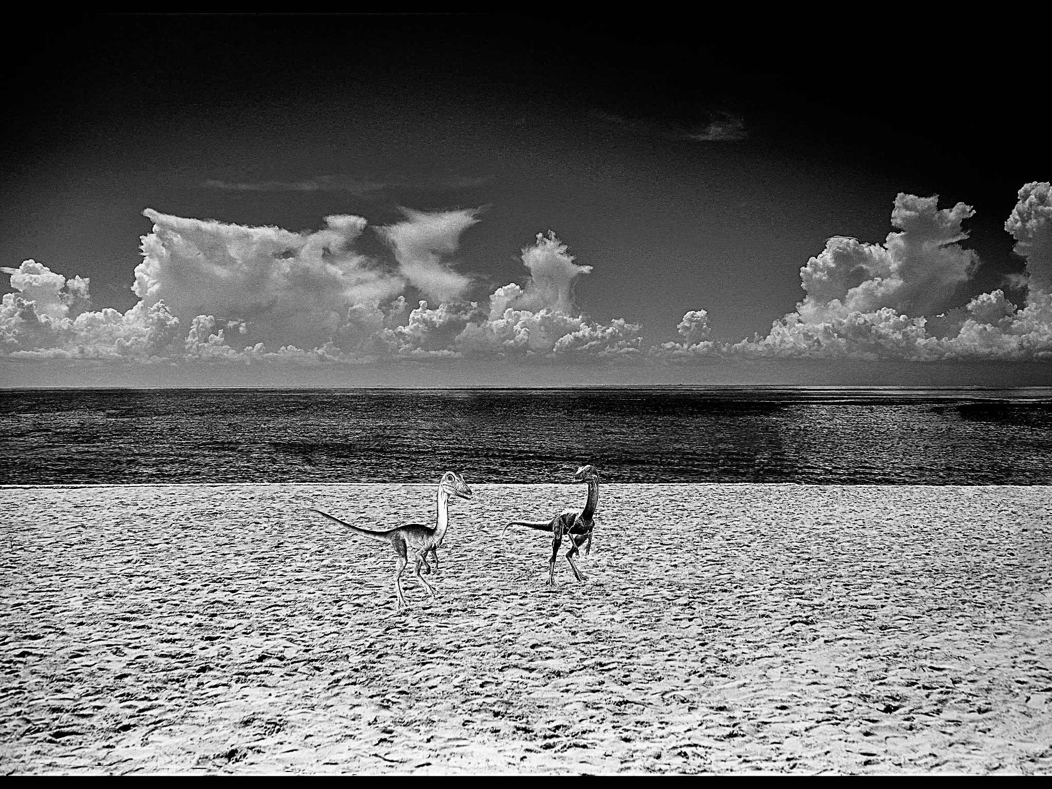 DFW Report, ‘Migration’ | Fandom