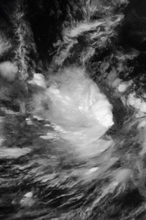 An extremely rare tropical cyclone has formed | Fandom