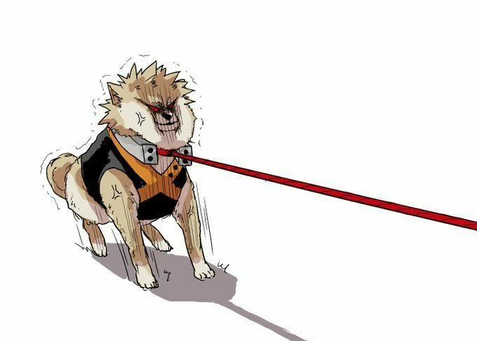 I have found the angry Pomeranian! | Fandom