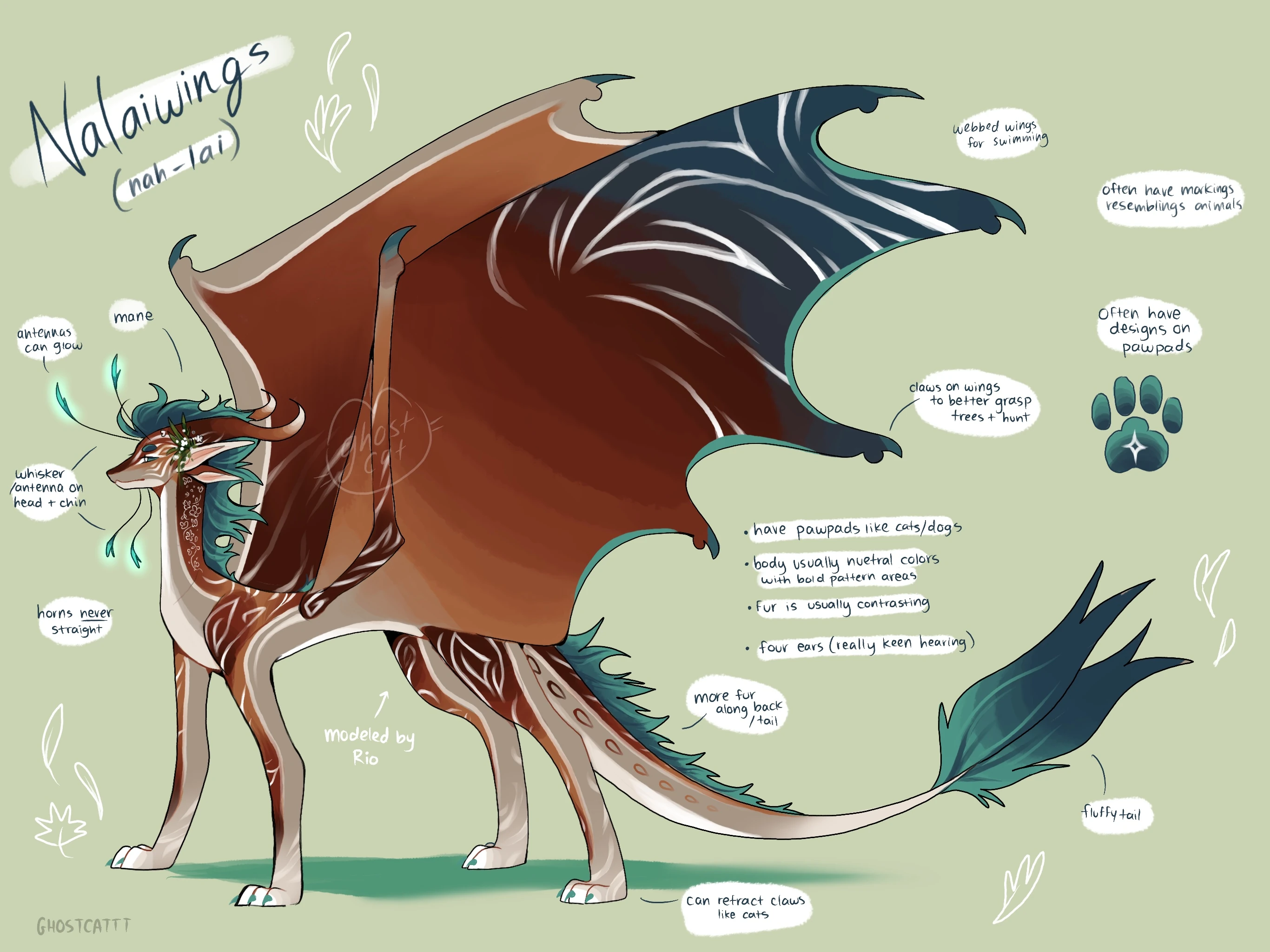 🌼🐅🌿 OFFICIAL NALAIWINGS FANTRIBE POST🩵🌼🐅🌿 | Fandom