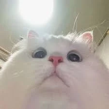 i finally got taph milestone 3 | Fandom