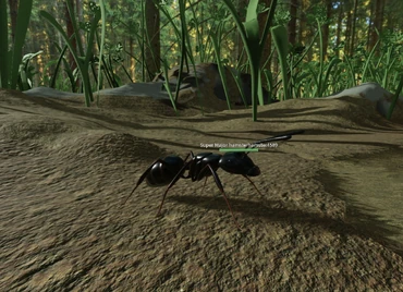 Discuss Everything About Ant Life Wiki | Fandom