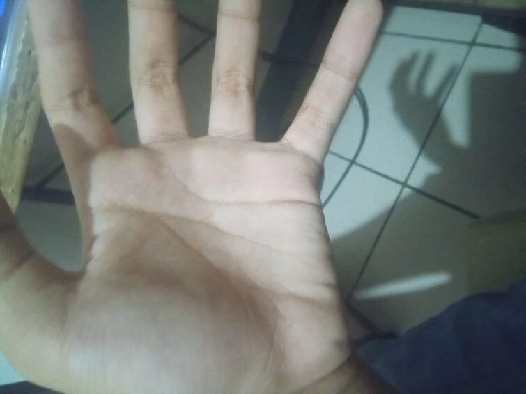 Ok furry posted her hands, now everybody calm down | Fandom