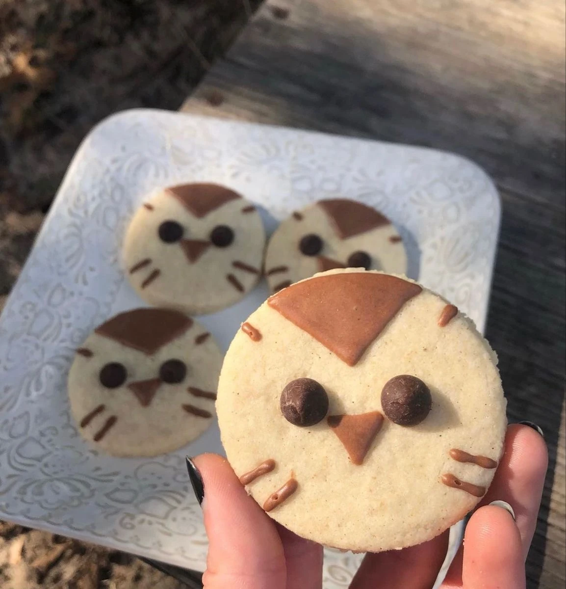 REAL LIFE HOOTY COOKIES | Fandom
