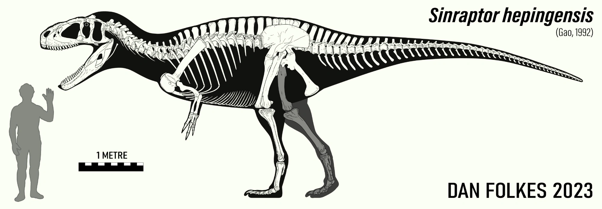 New Sinraptor hepingensis by dan | Fandom