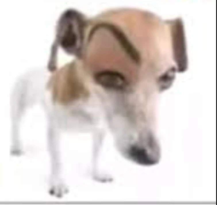 lord gnolmadon vs quandale pringle the breath spammer | Fandom