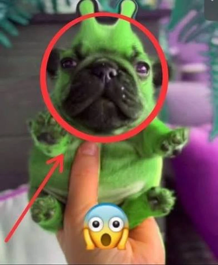 Zip Zap Zop | Fandom