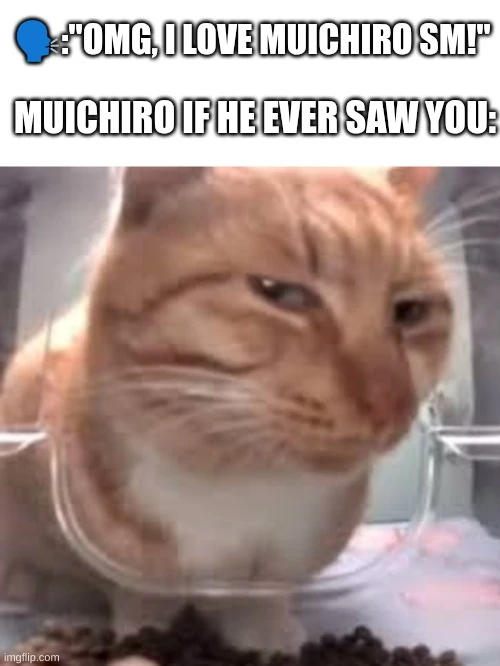 *+*Meme i made {No offense to you Muichiro fans but-}*+* | Fandom