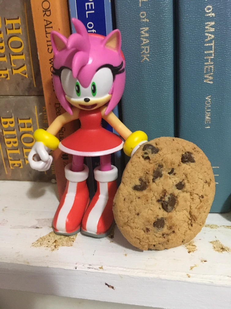 Amy rose with my chips ahoy cookie | Fandom