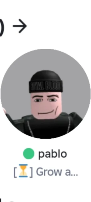 Not to brag or anything... but I'm friends with THE pablo on Roblox ...