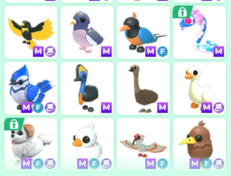 Mega Love Bird finished! | Fandom