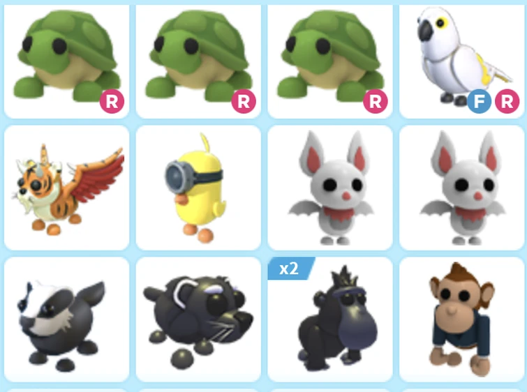 Trading for fool pets/eggs! | Fandom