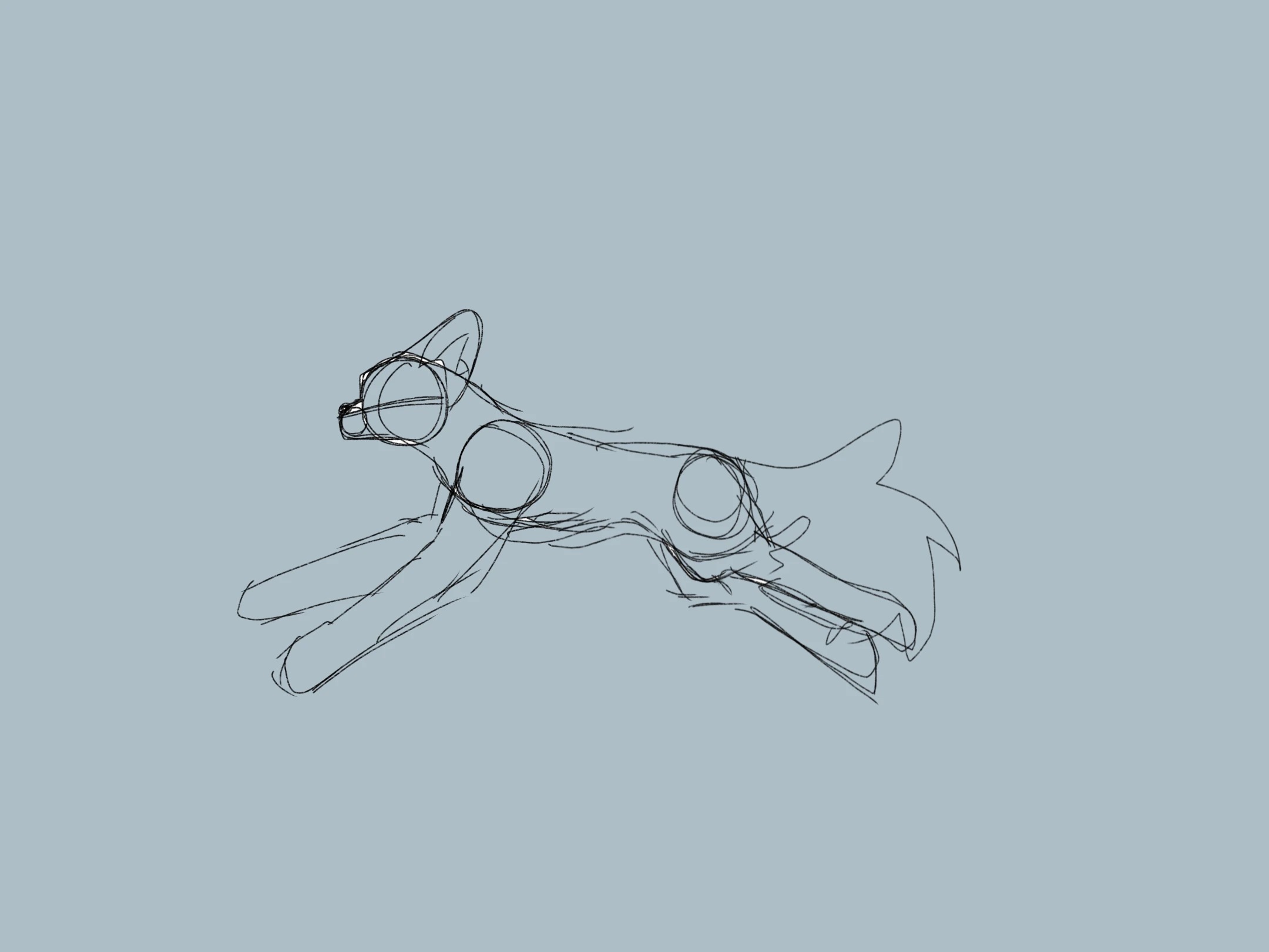 Wolf run cycle | Fandom