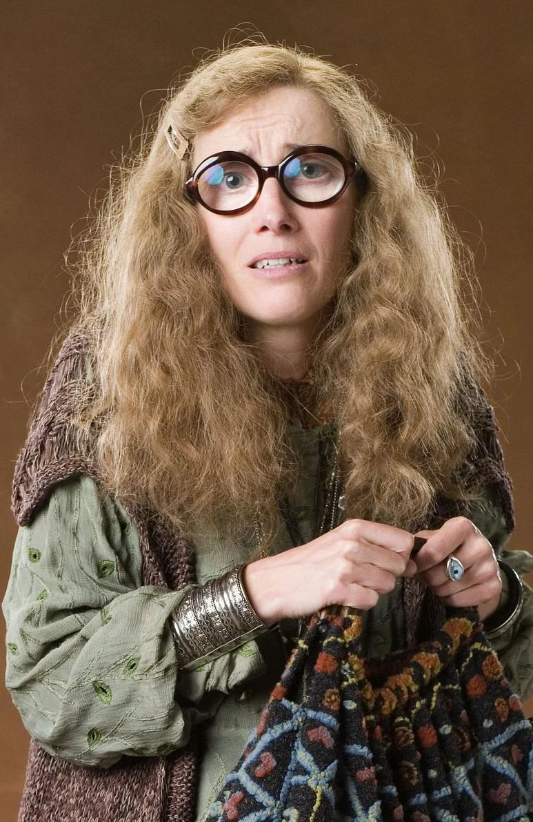 Sybill Trelawney's-First Prophecy | The 1D-Live-Action Wiki | Fandom