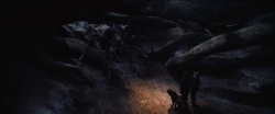 Aragog (Harry Potter) | The 1D-Live-Action Wiki | Fandom
