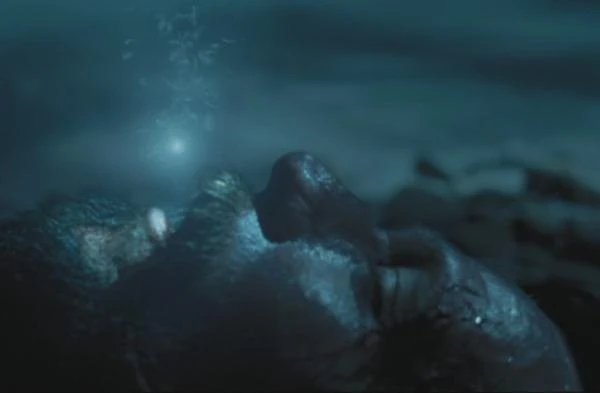 Soul (Harry Potter) | The 1D-Live-Action Wiki | Fandom