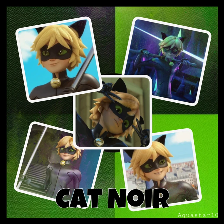 Cat Noir edit | Fandom