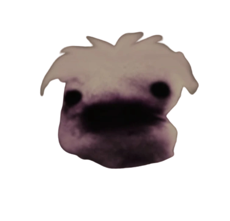 I cut out some Whiteys | Fandom