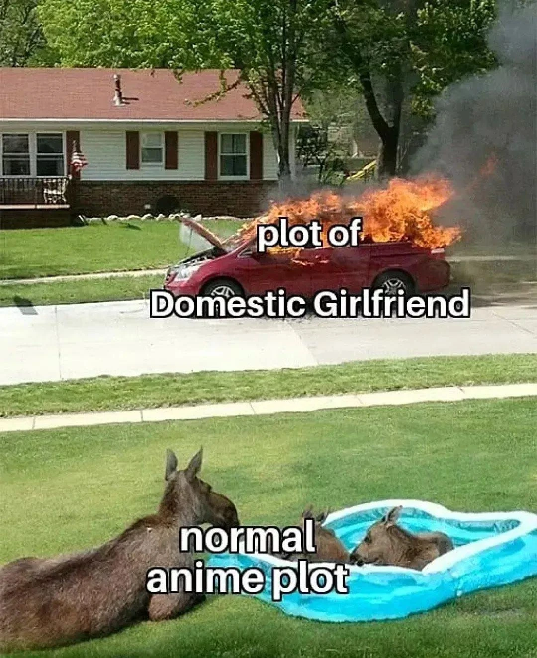 Meme | Fandom