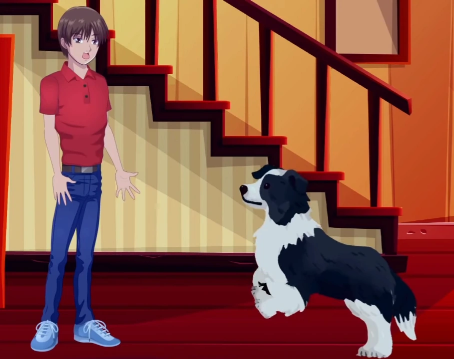 tf kind of human is this | Fandom