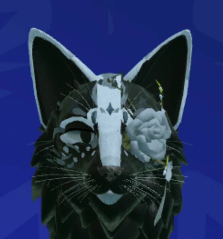 some random morph showcase | Fandom