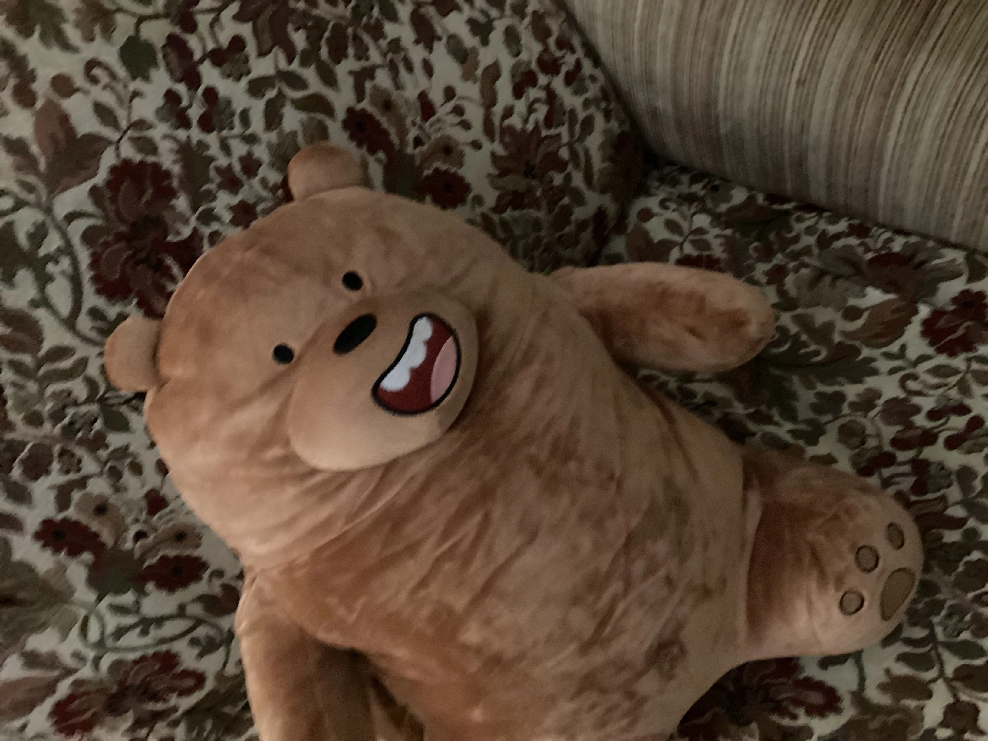 So there’s this store called MINISO | Fandom