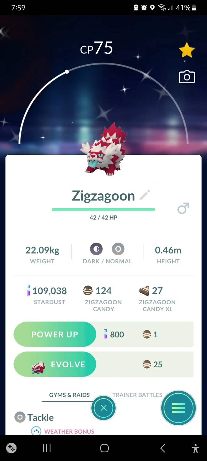 third shiny zigzagoon | Fandom