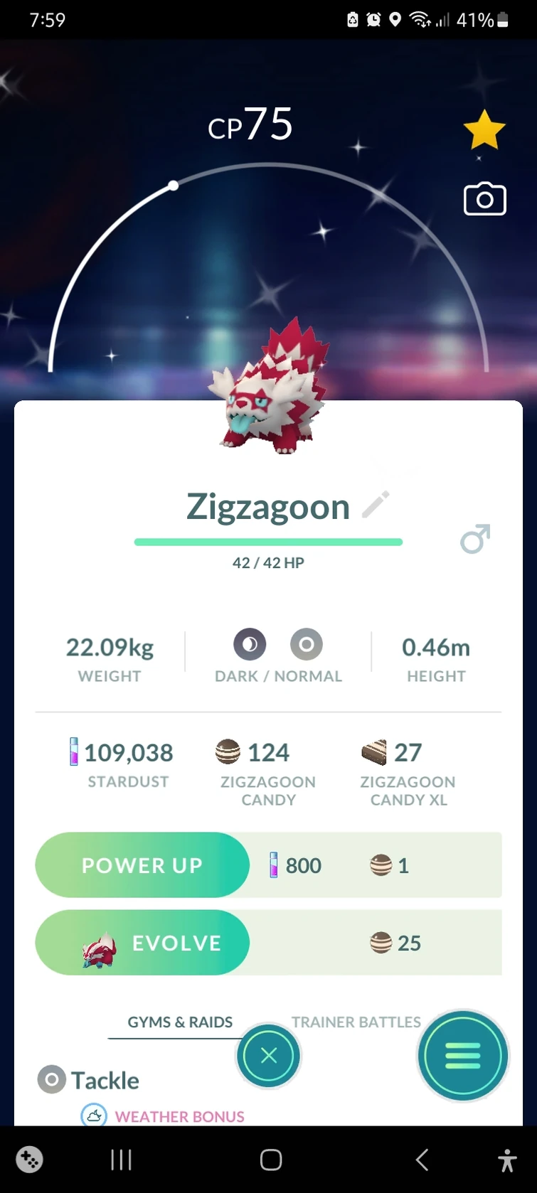 third shiny zigzagoon | Fandom
