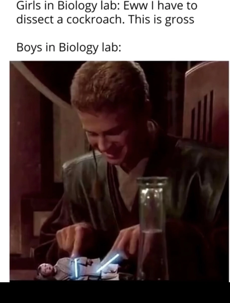 (Meme) Dissecting.... | Fandom