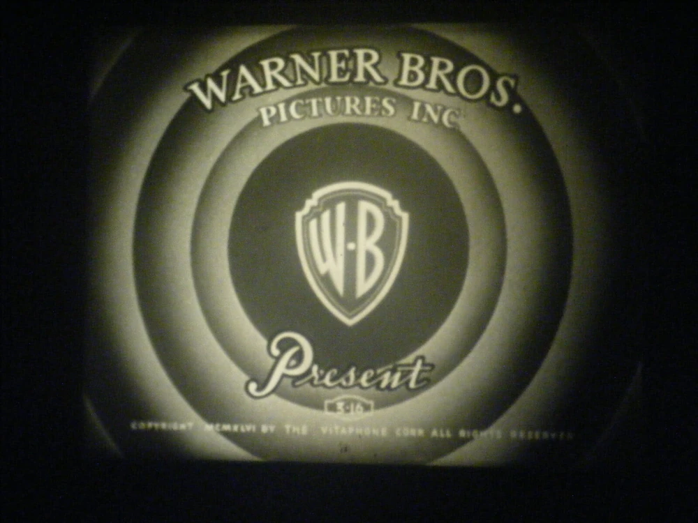 did the WB Shield didn't zoom in? | Fandom