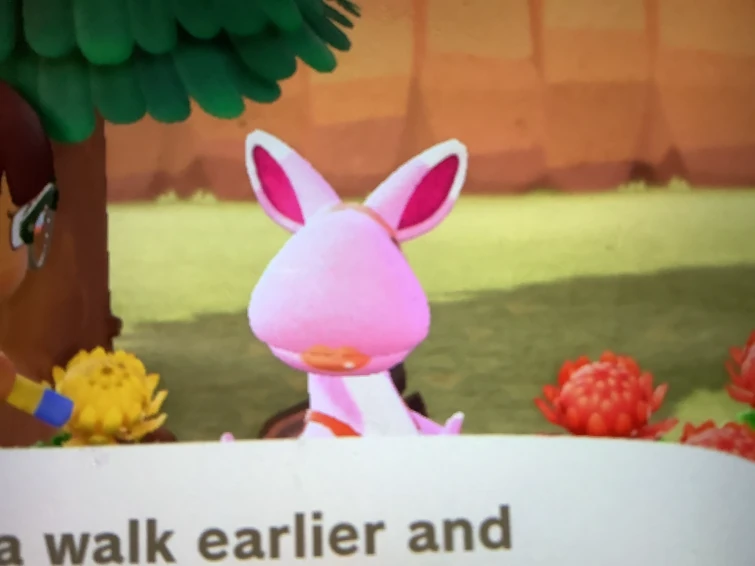 Discuss Everything About Animal Crossing Wiki | Fandom