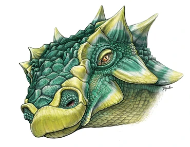 Discuss Everything About Dinopedia | Fandom