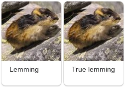 lemming | Fandom