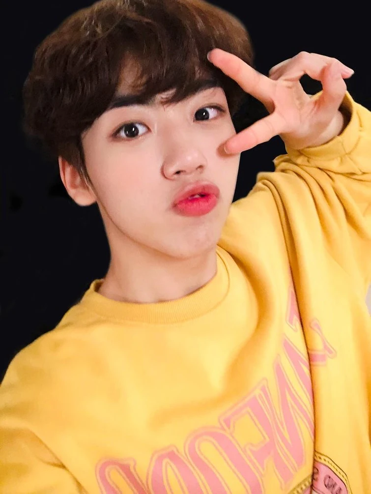 Discuss Everything About Kpop Wiki | Fandom