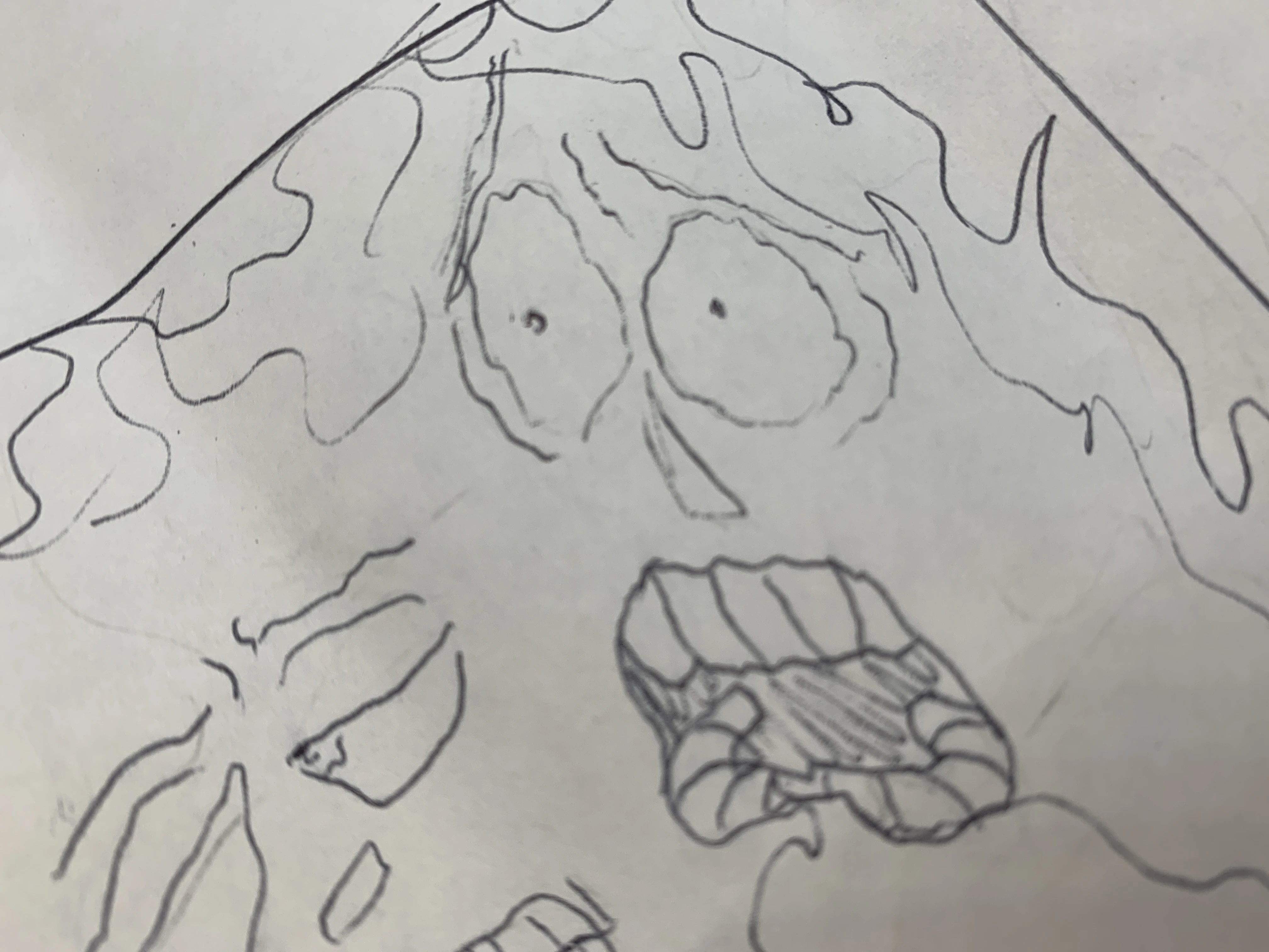 Doing quick expresssion drawing requests | Fandom