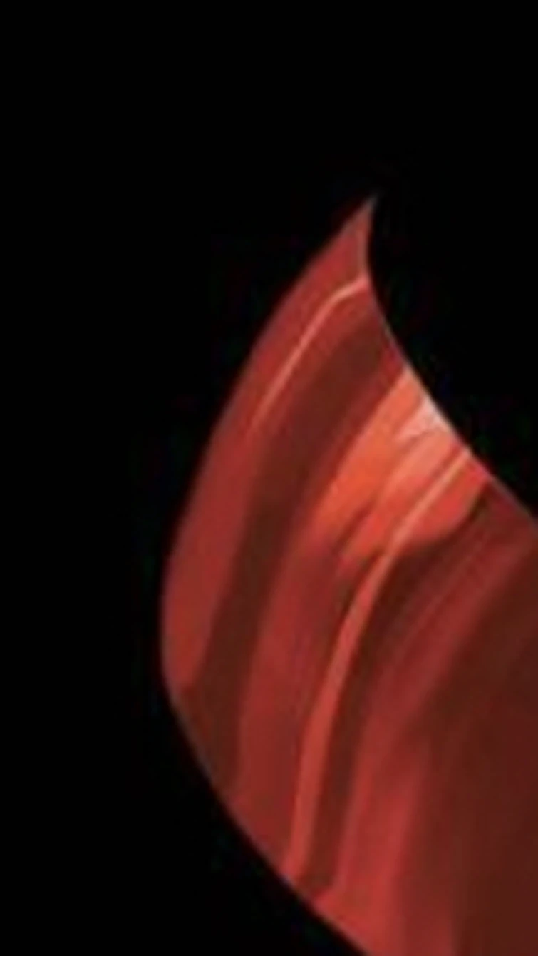 Guess the zoomed in character! | Fandom