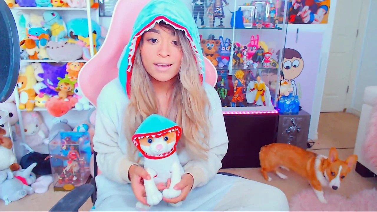 I know this is random but what happened to mr.paws? | Fandom