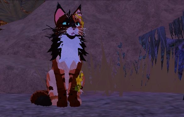 say hi to my morphs/OCs | Fandom