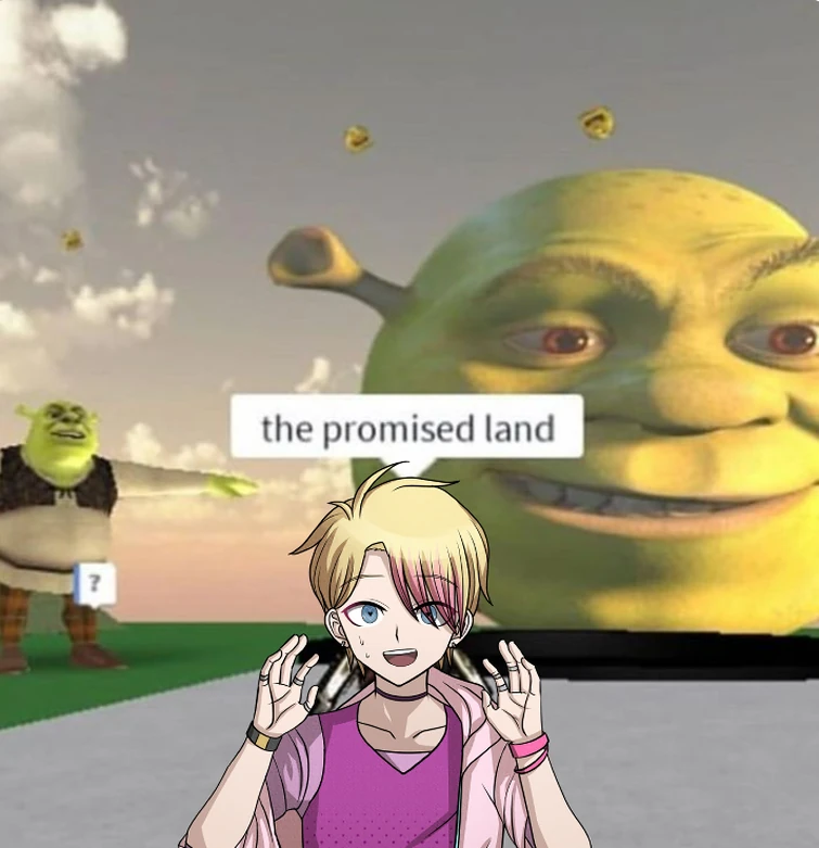 drdt roblox memes | Fandom