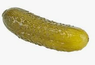 Pick a pickle | Fandom