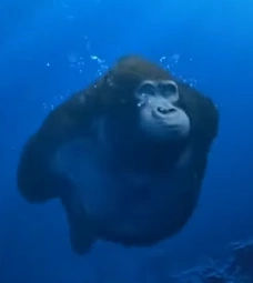 uh Slenderman moveset prediction ig | Fandom