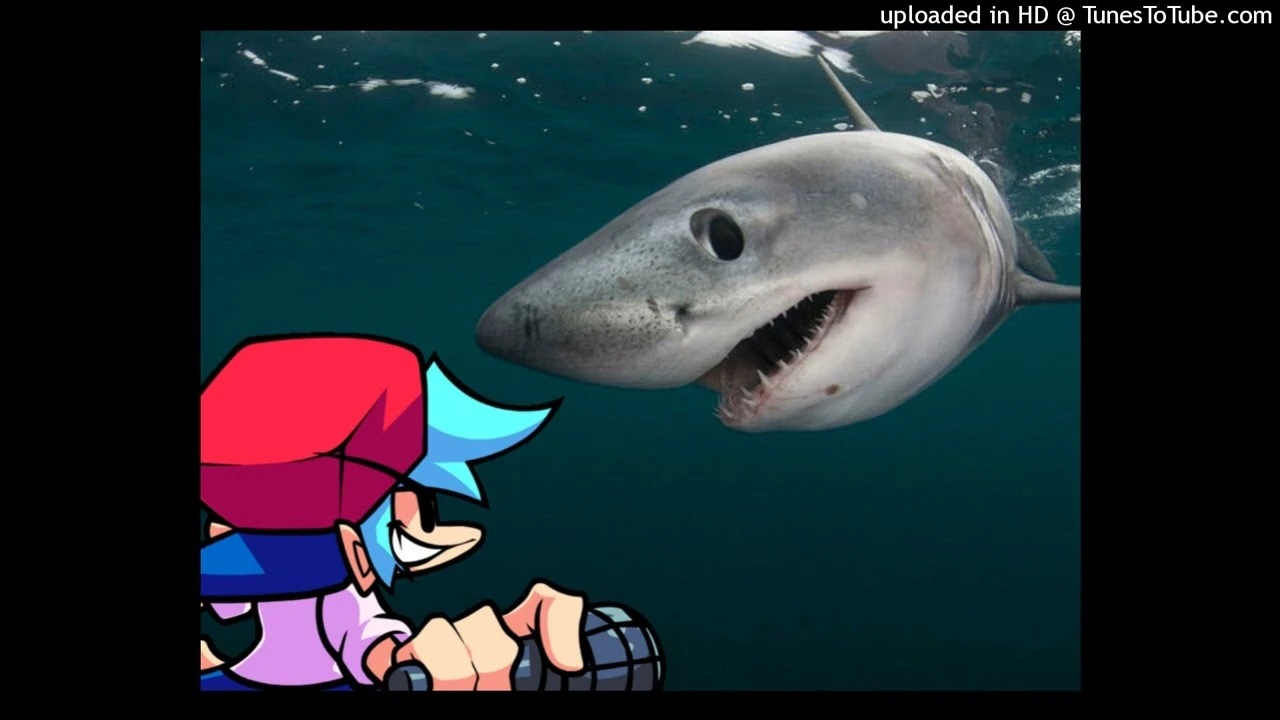 a shark song lol | Fandom