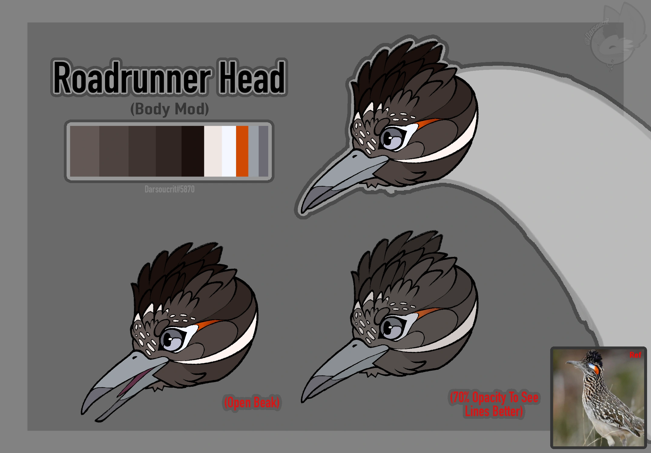 Roadrunner Head [Finished] | Fandom